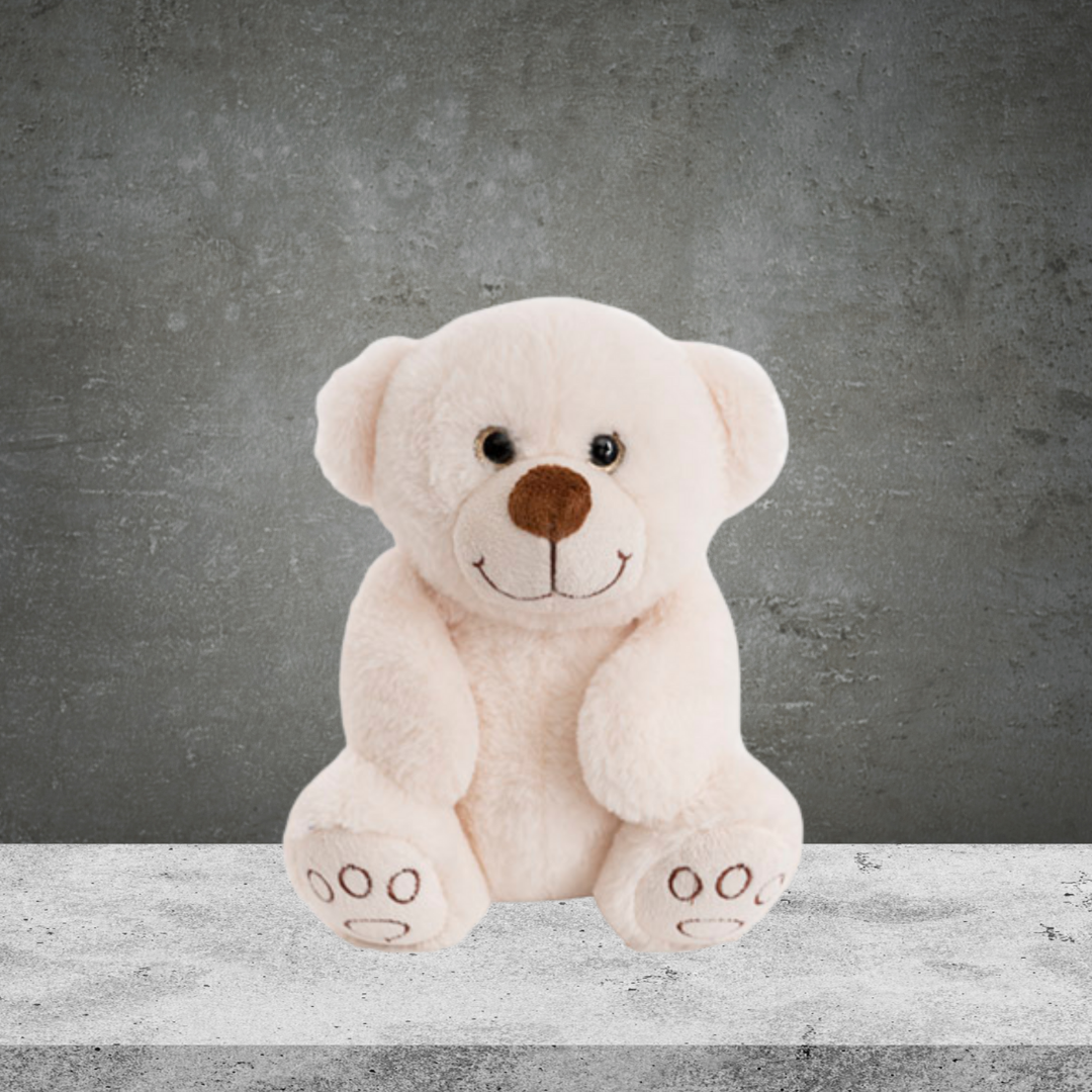 Soft Sammy Teddy Bear – Hampers Galore